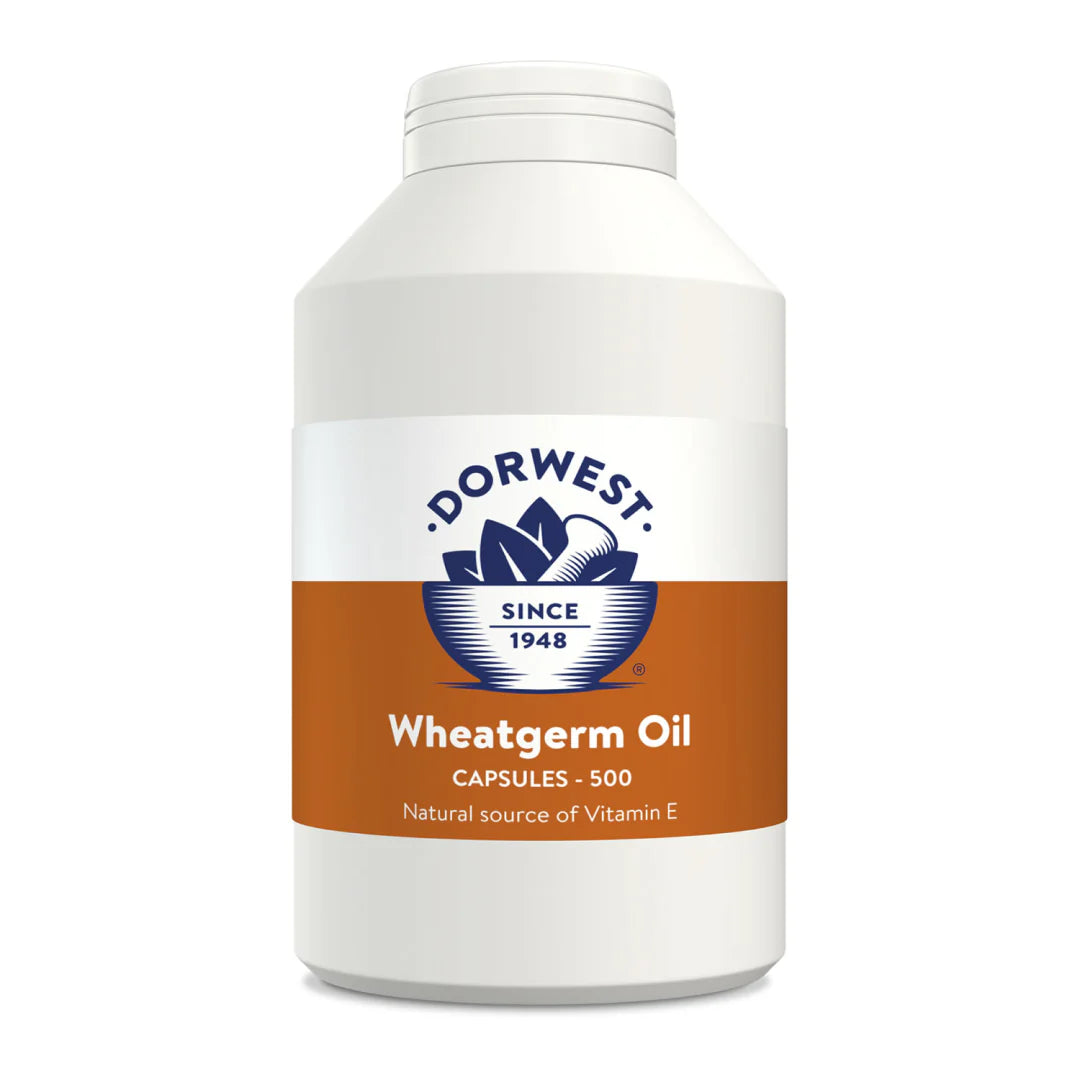 Wheatgerm Oil Tablets (500 Tablets) - Healthy skin & coat – Hounds ...